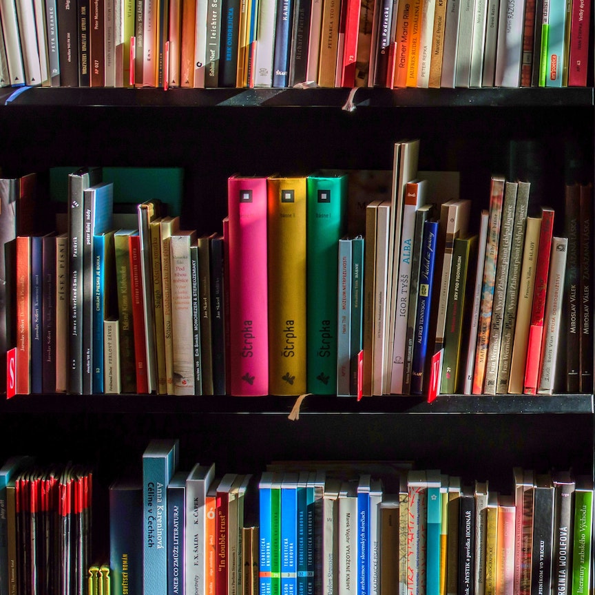 Open For Climate Justice